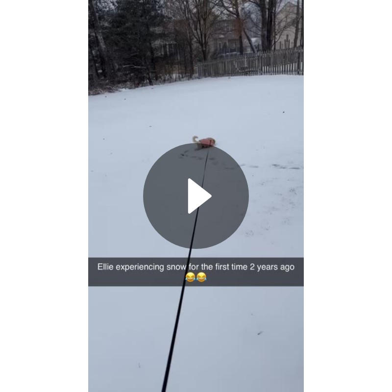 Ellie experiencing snow for the first time 2 years ago 😂😂 | Spotlight ...