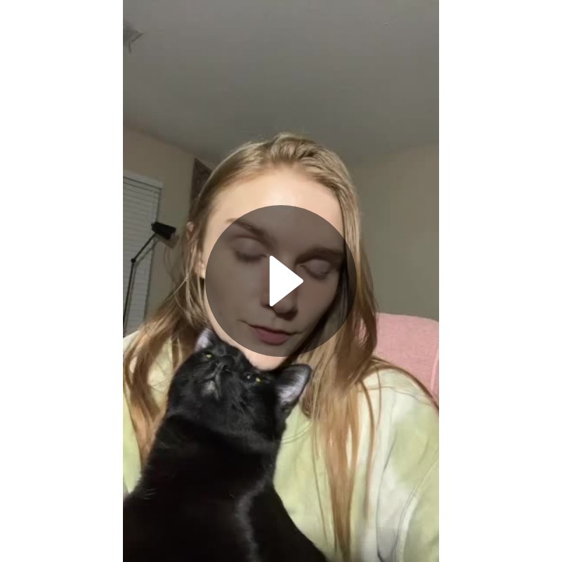 samfokker | Spotlight on Snapchat