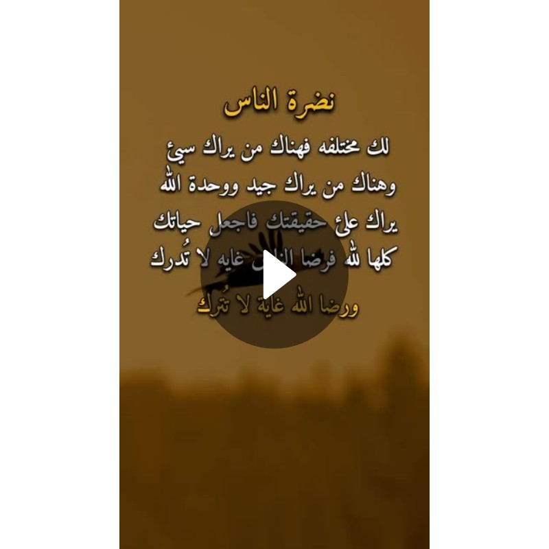 ss_mm1999 | Spotlight on Snapchat