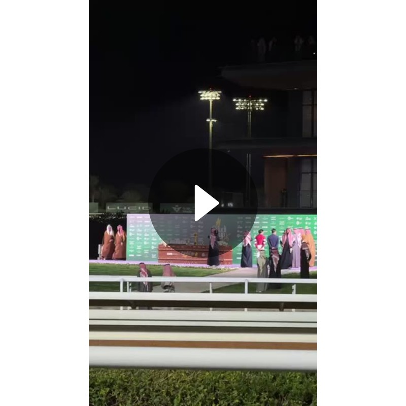 snaif_111 | Spotlight on Snapchat