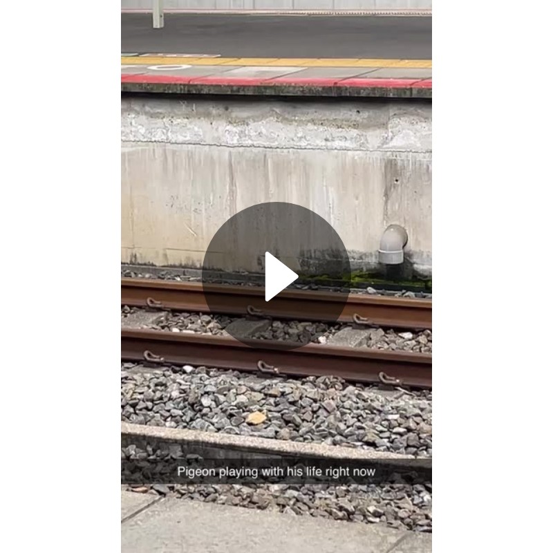 joell_perry | Spotlight on Snapchat