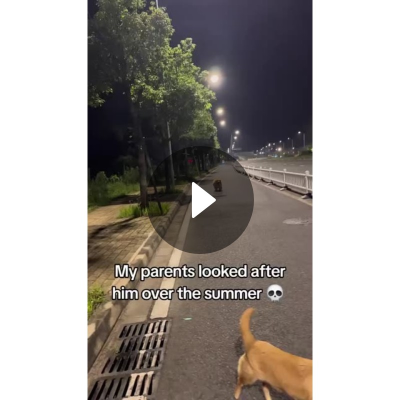 funny.vids124 | Spotlight on Snapchat