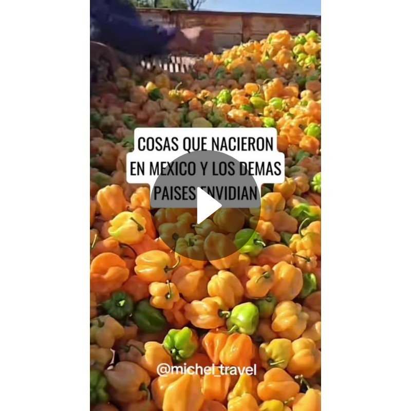🇲🇽 Cosas que nacieron en México… y el mundo las envidia#OrgulloMexicano ...