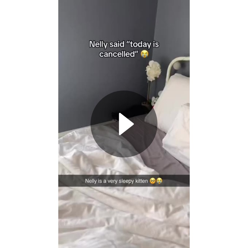 Nelly is a very sleepy kitten 🥺😭 | Spotlight on Snapchat