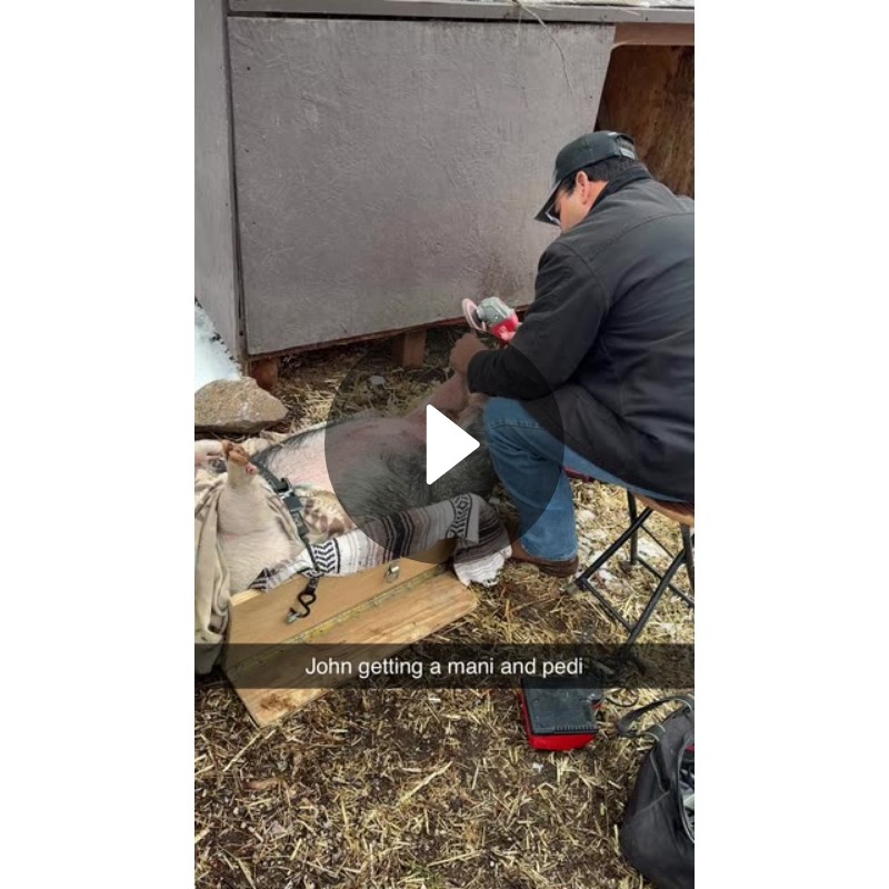 Posted 3/15/2025 | agreeable greg (@agreeables) | Spotlight
