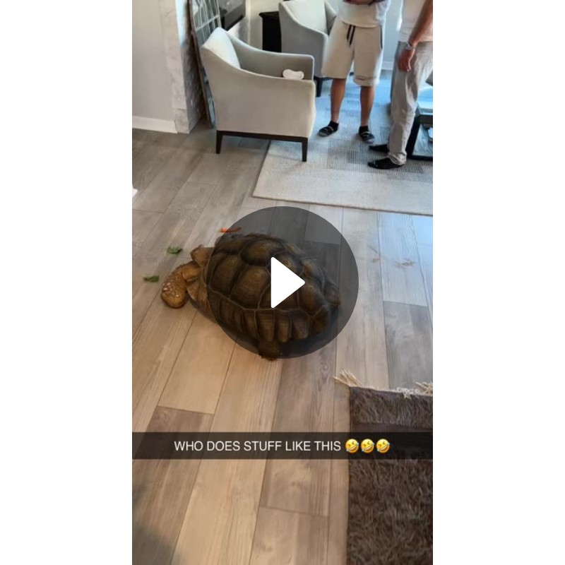 WHO DOES STUFF LIKE THIS 🤣🤣🤣 | Spotlight on Snapchat