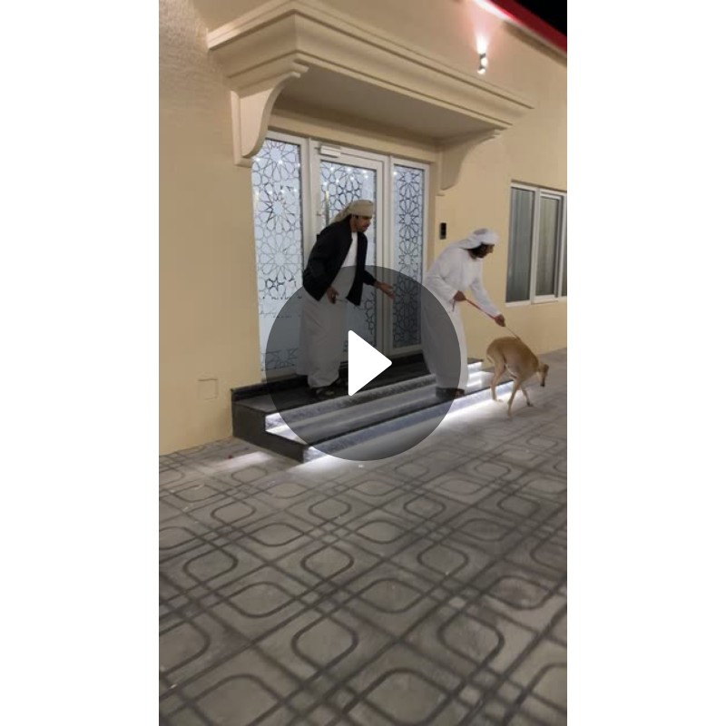 ali-19666 | Spotlight on Snapchat