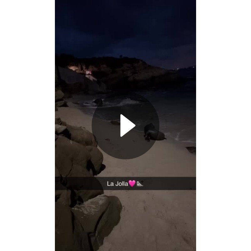 La Jolla🩷🦭 | Spotlight on Snapchat