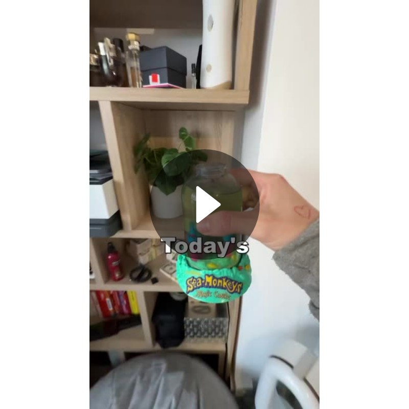 jakebsweet | Spotlight on Snapchat