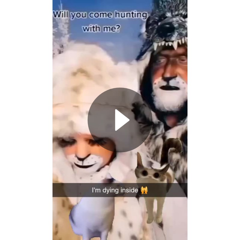 cat_reaction | Spotlight on Snapchat