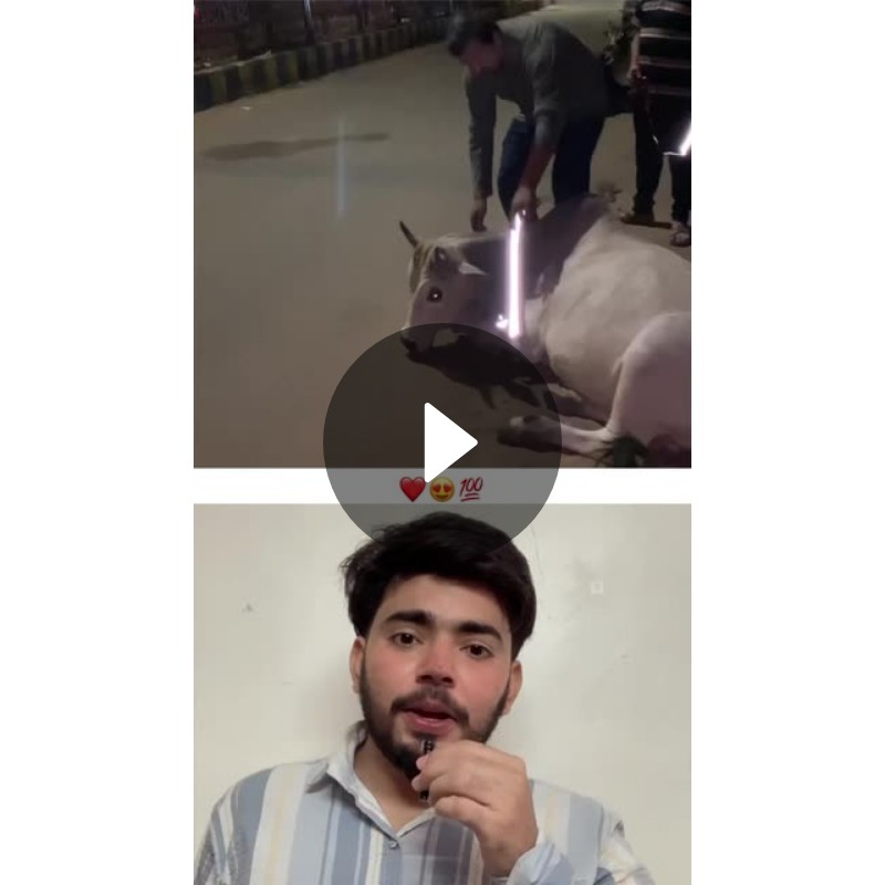 Spotlight on Snapchat