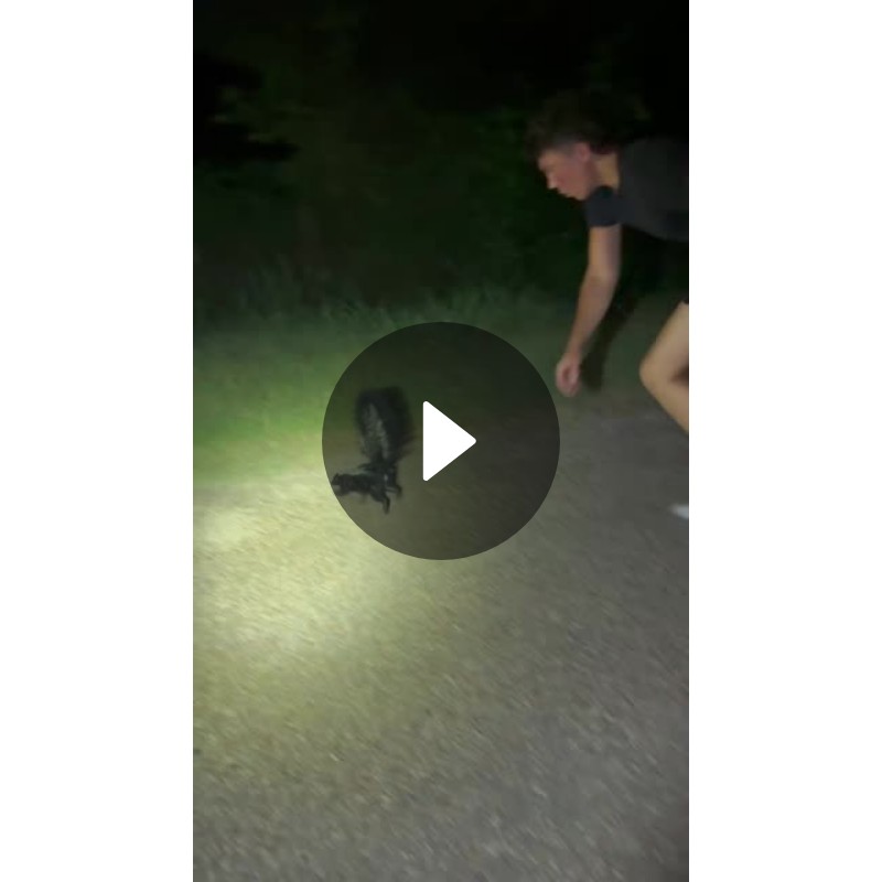 Homeless man experiences sadness and hurt feelings. | Ct_seeking ...