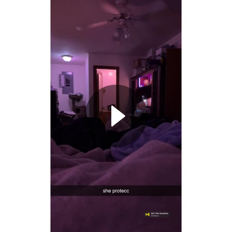 she protecc | Spotlight on Snapchat
