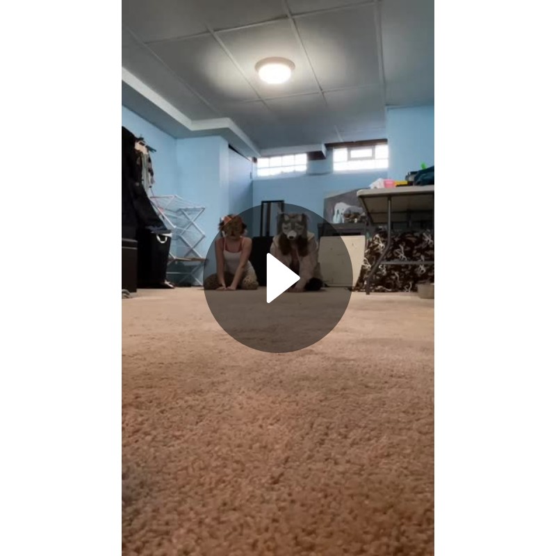 cora_puppets | Spotlight on Snapchat