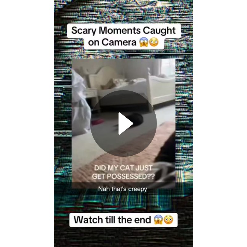Nah that's creepy | Spotlight on Snapchat