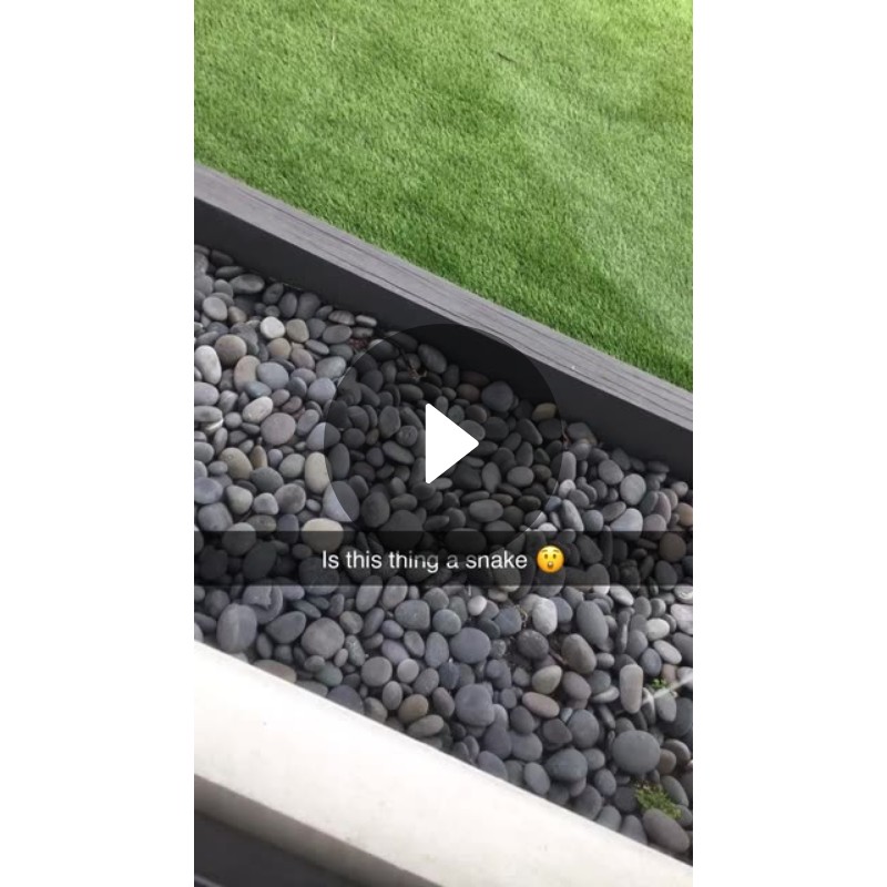 Is this thing a snake 😲 | Spotlight on Snapchat