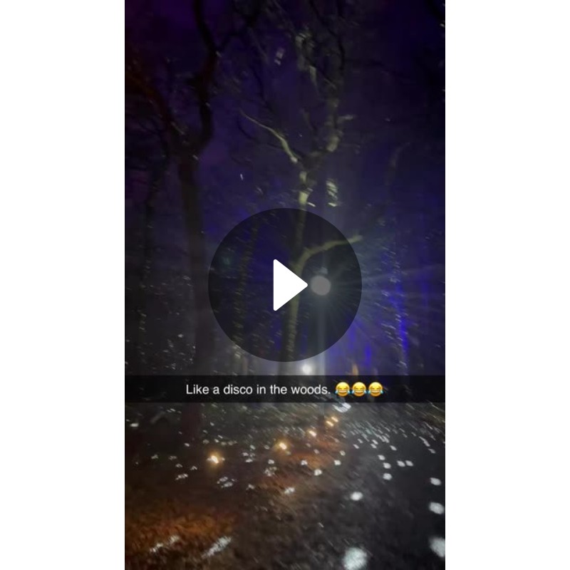 Like a disco in the woods. 😂😂😂 | Spotlight on Snapchat