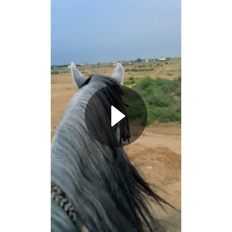 omdh-3 | Spotlight on Snapchat