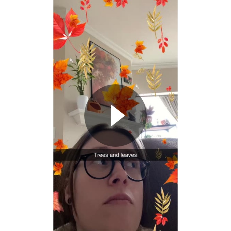 Trees and leaves | Spotlight on Snapchat