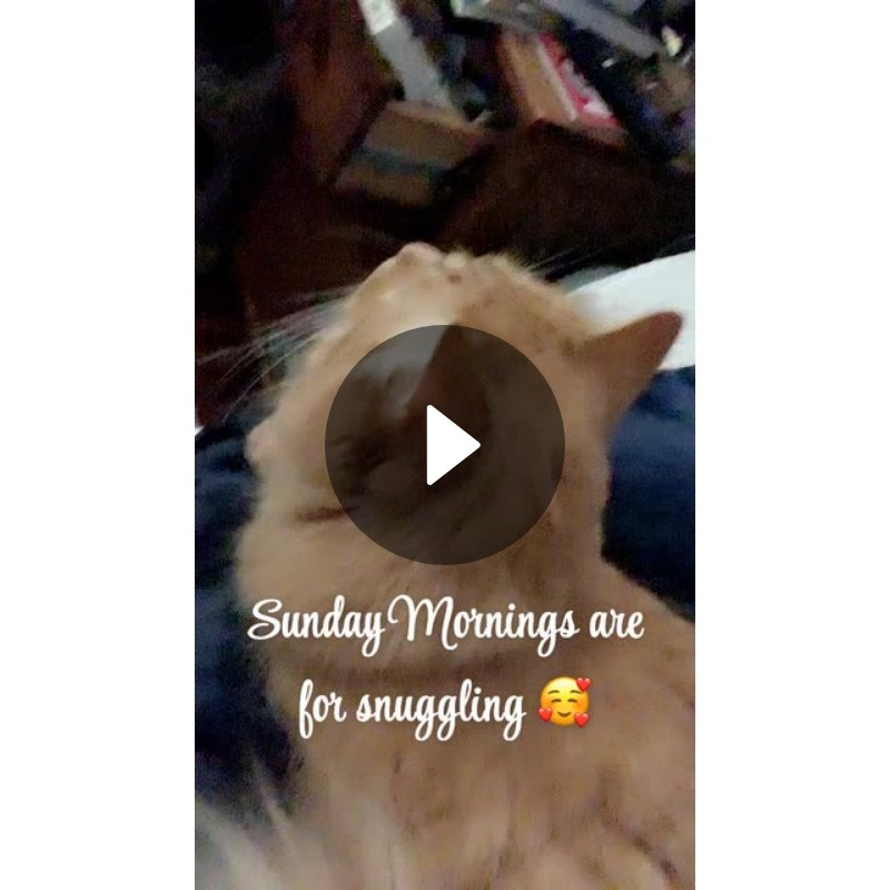 Sunday Mornings are for snuggling 🥰 | Spotlight on Snapchat