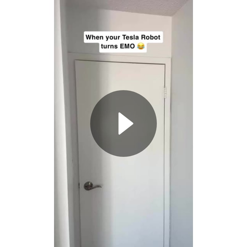 When your Tesla Robot turns EMO 😂 | Spotlight on Snapchat