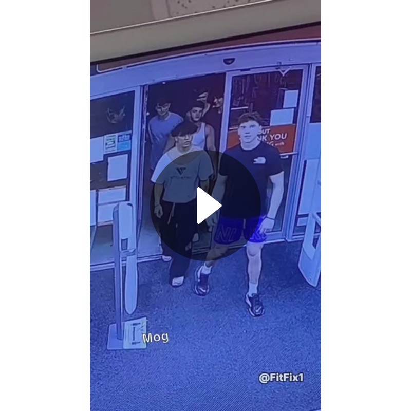 Mog | Spotlight on Snapchat