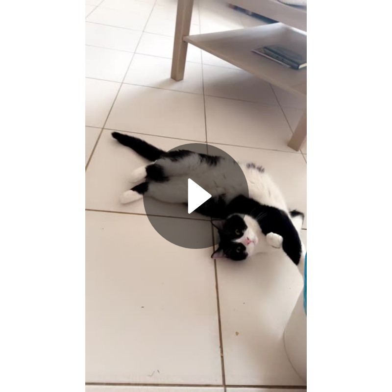 marwaworld2017 | Spotlight on Snapchat