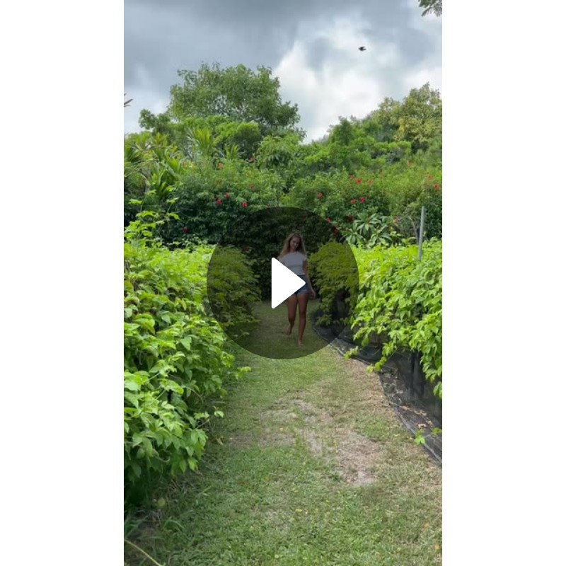 Posted 10/9/2025 | JoEll Perry (@joell_perry) | Spotlight