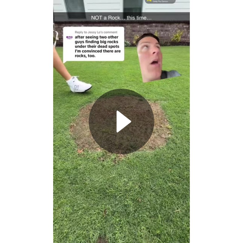 NOT a Rock… this time… | Spotlight on Snapchat