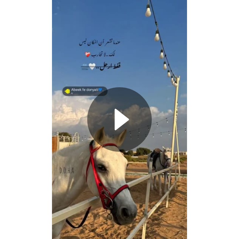 Ghada's Horse Riding Adventure in Doha | A Day in the Life | Video by ...