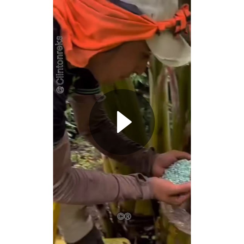 Clintonreks | Spotlight on Snapchat