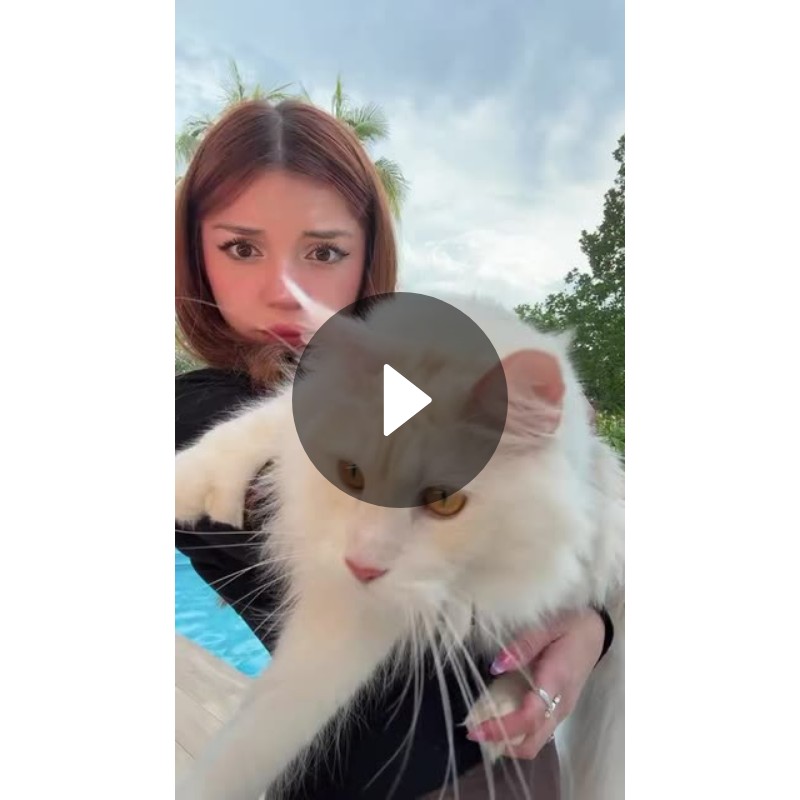 katianaoki | Spotlight on Snapchat
