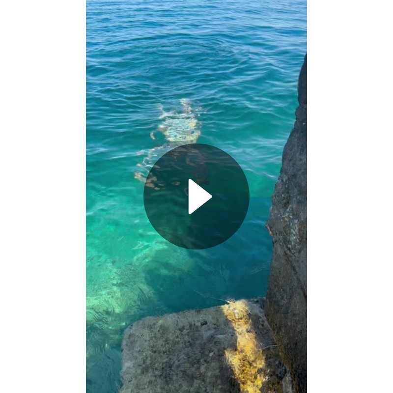 kim_lamarin | Spotlight on Snapchat