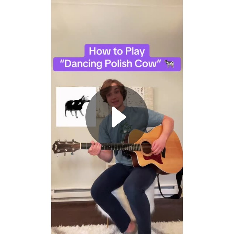 guitar_dave | Spotlight on Snapchat