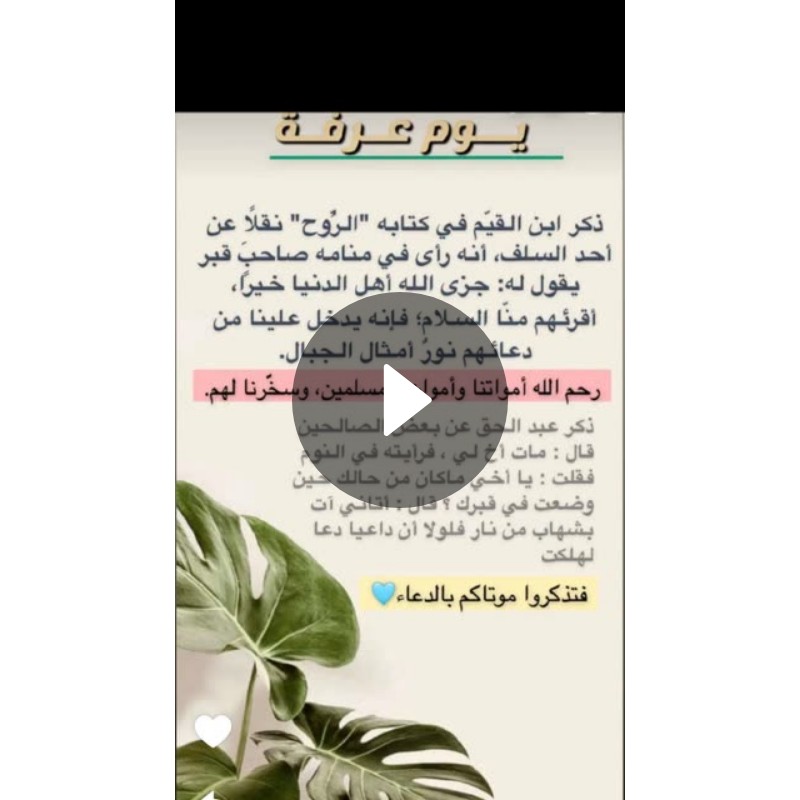 Arabic Quote & Plant Aesthetic | Soli🌸🍃 | Video by سولي🌸🍃 (@sooly_99)
