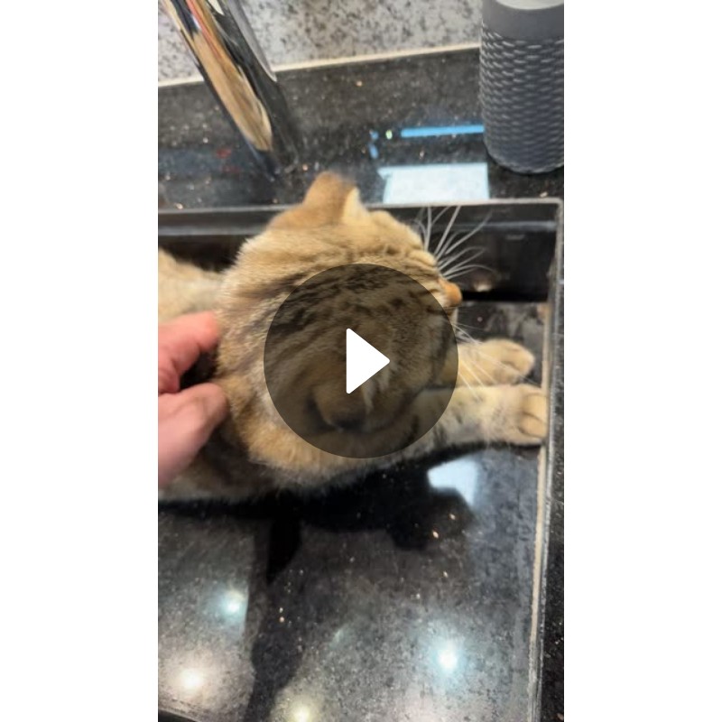 mrfifasa | Spotlight on Snapchat