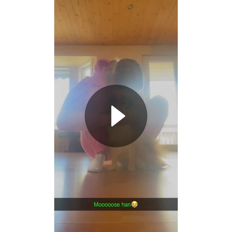 Mooooose han😭 | Spotlight on Snapchat