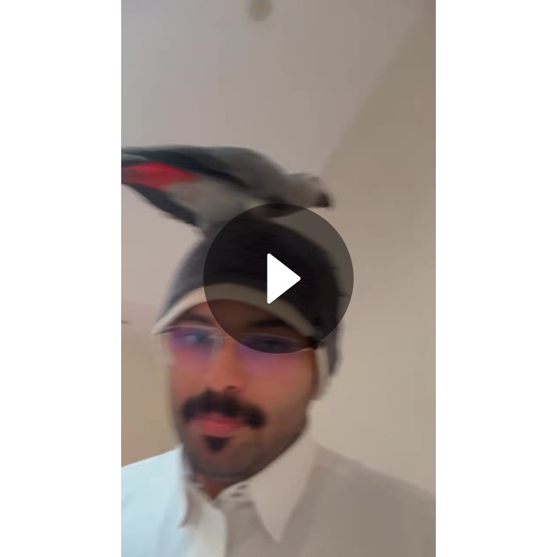 osvwar | Spotlight on Snapchat