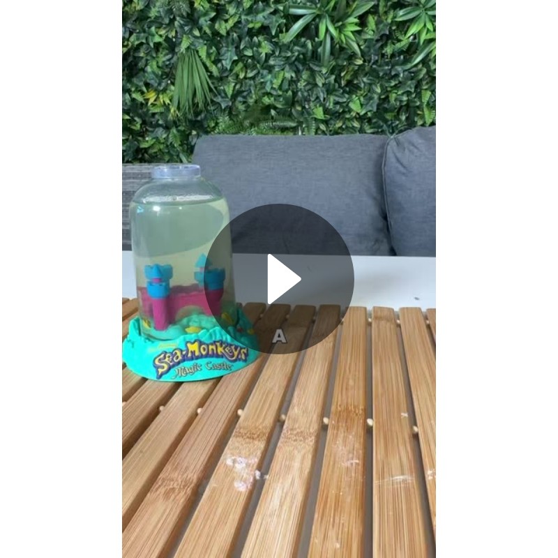 jakebsweet | Spotlight on Snapchat