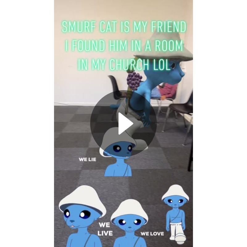 SMURF CAT IS MY FRIEND I FOUND HIM IN A ROOM IN MY CHURCH LOL | Spotlight on Snapchat