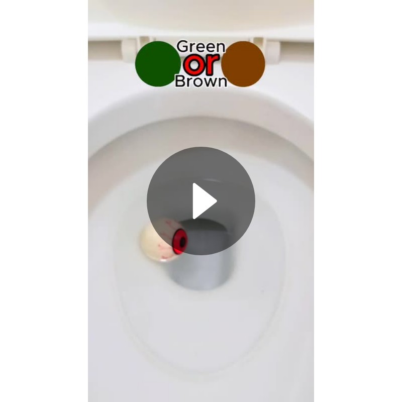 wolf.relaxing | Spotlight on Snapchat