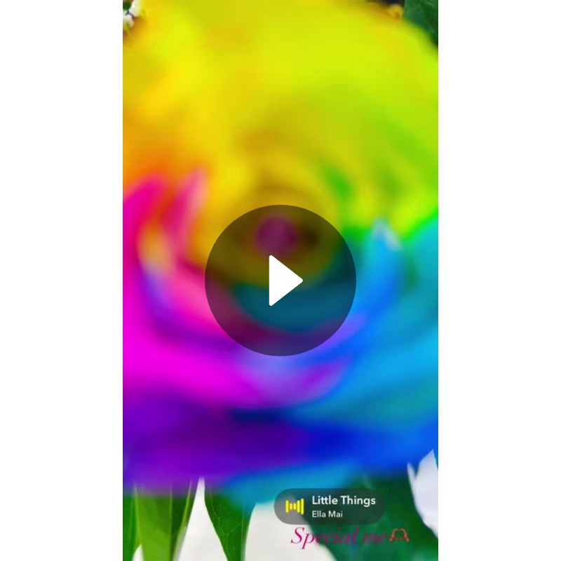 bee_marie1 | Spotlight on Snapchat