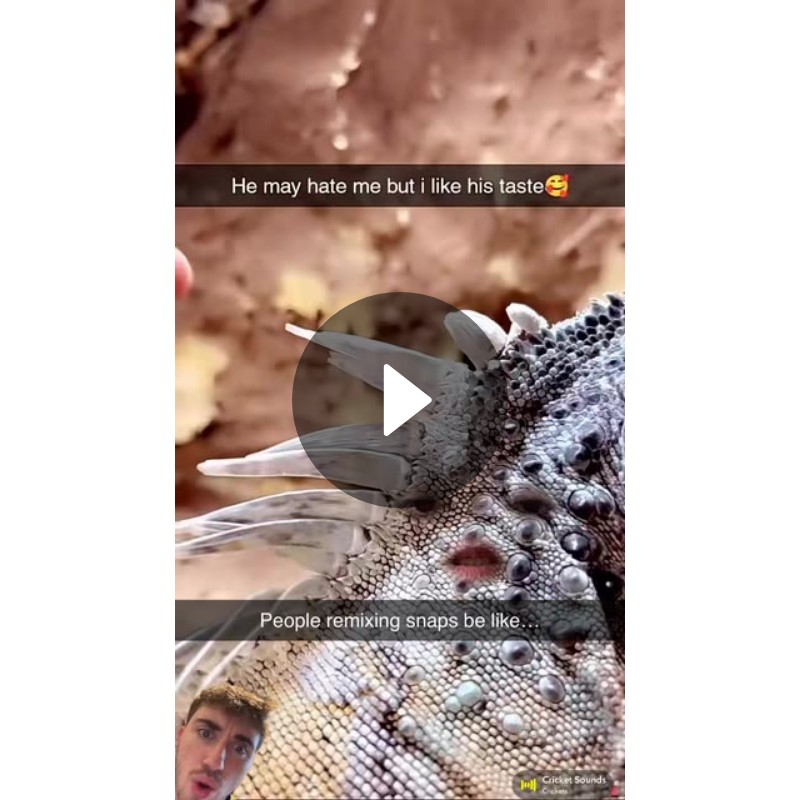 People remixing snaps be like… | Spotlight on Snapchat