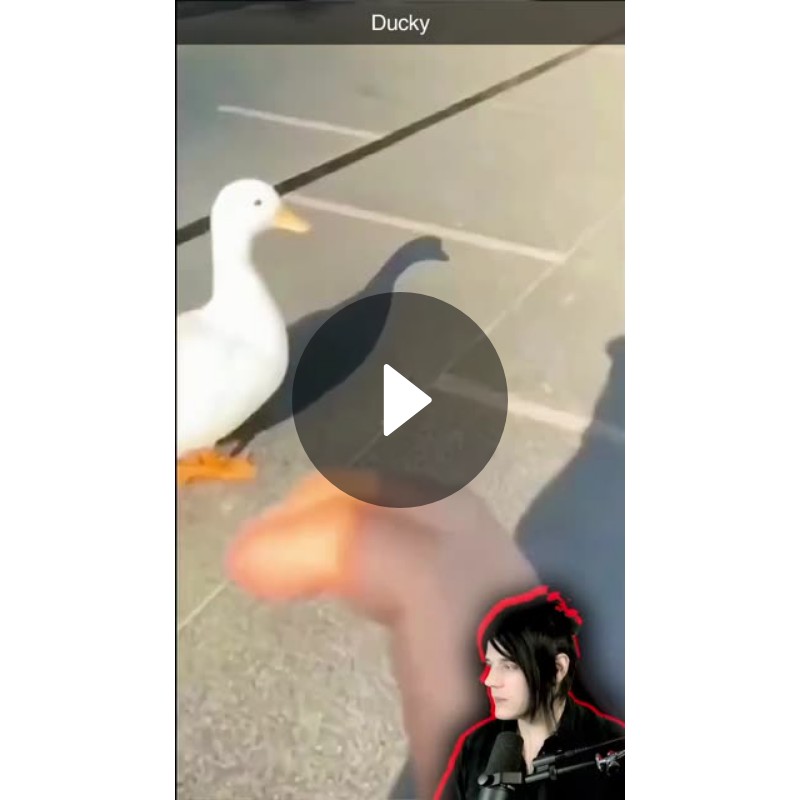 Ducky | Spotlight on Snapchat