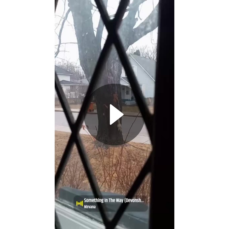 mellow.ally | Spotlight on Snapchat