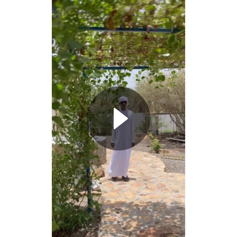 yas_0r | Spotlight on Snapchat