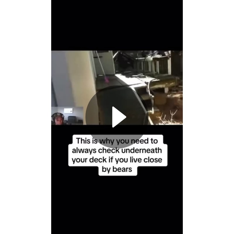 Spotlighttvlive Spotlight On Snapchat