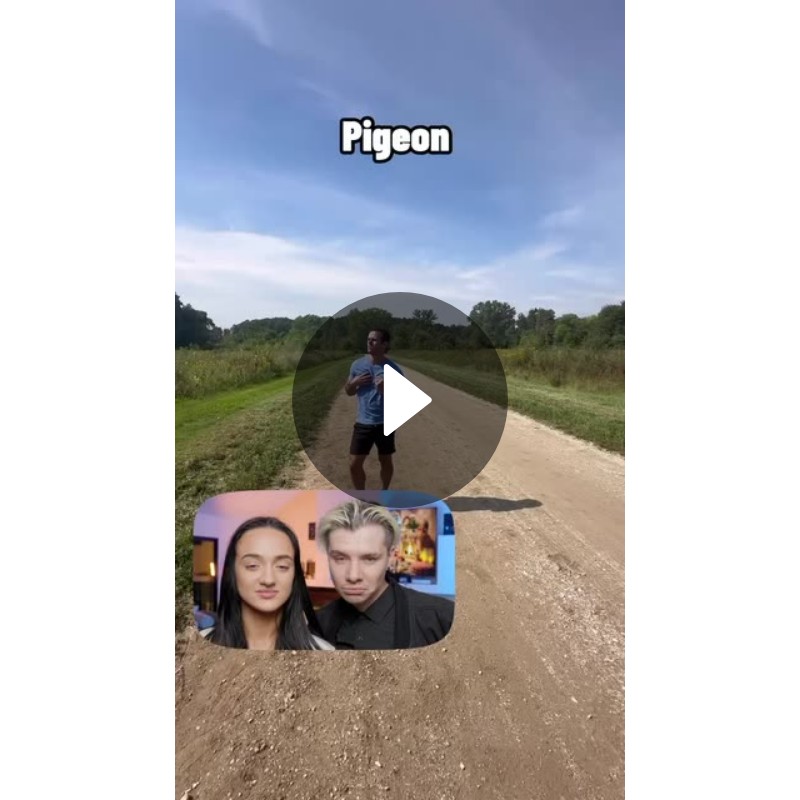 live_wild | Spotlight on Snapchat