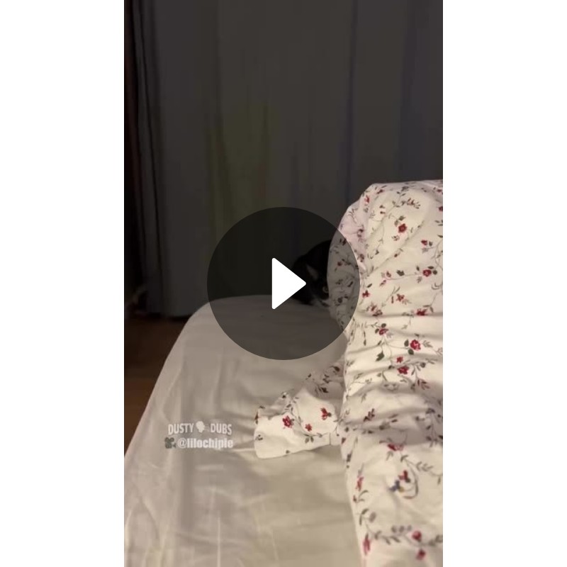 swiffie.com | Spotlight on Snapchat