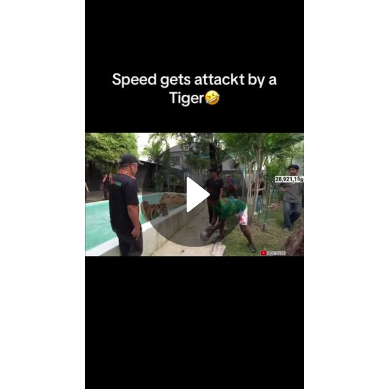 Speed Gets Attacked by a Tiger! 😱 | Video by ishowspeed (@ishowspeed.rec)